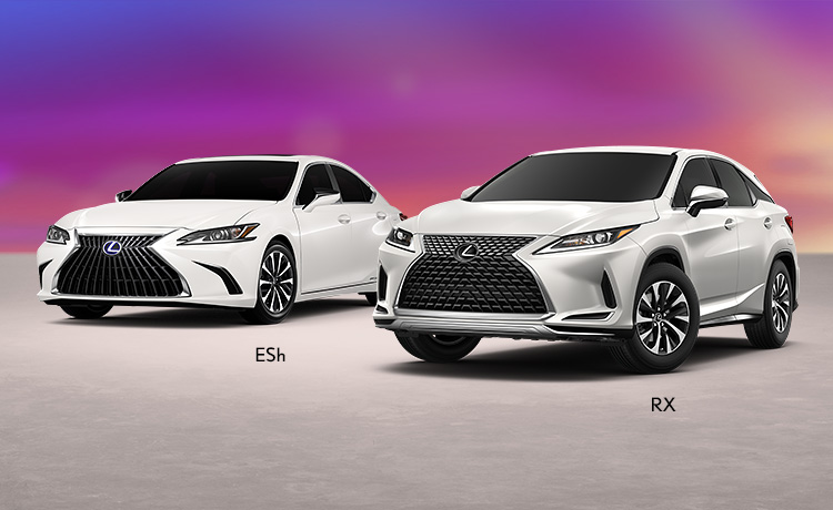 Lexus Service | Lexus.com